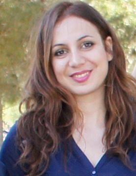 Faculty Spotlight: Dr. Sahar Ehsani | academics.ysu.edu